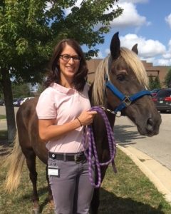 About – Momentum Equine