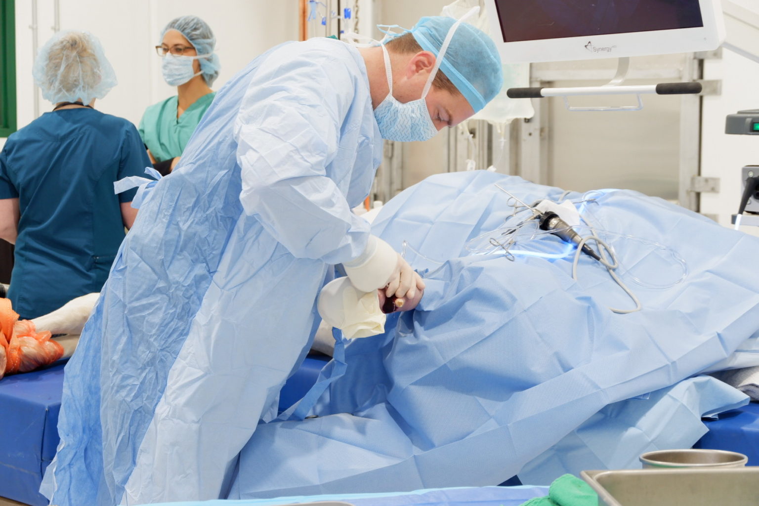 Surgery – Momentum Equine